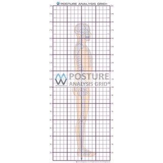 Postural Analysis Grid Chart | Shopee Thailand