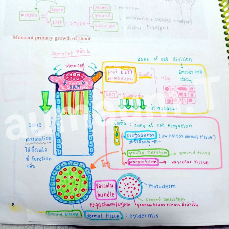 Biobeam คอร์ส ICU เล่ม 7 หนังสือเรียนพิเศษ,หนังสือเตรียมสอบ,หนังสือมือ ...