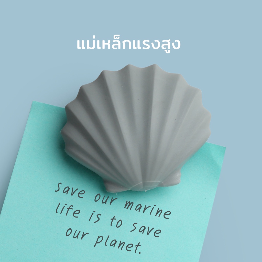 Sea Shell Magnet แม่เหล็กติดตู้เย็น ดีไซน์ เต่าทะเล Qualy (ควอลี่ ...
