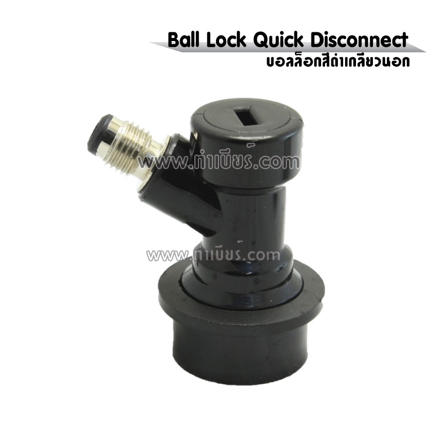 Ball Lock Quick Disconnect (เกลียวนอก) | Shopee Thailand