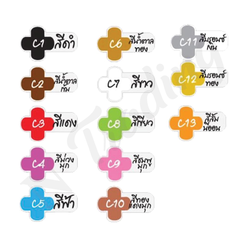 สเปร์ยสีแคริ่ง ซีนพลัส คัลเลอร์ สเปรย์ (C1-13) 85 มล. / Caring Seen ...