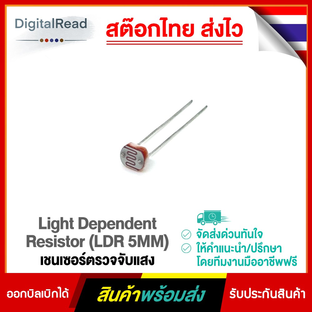 Light Dependent Resistor (LDR 5MM) เชนเซอร์ตรวจจับแสง สต็อกไทยส่งไว ...