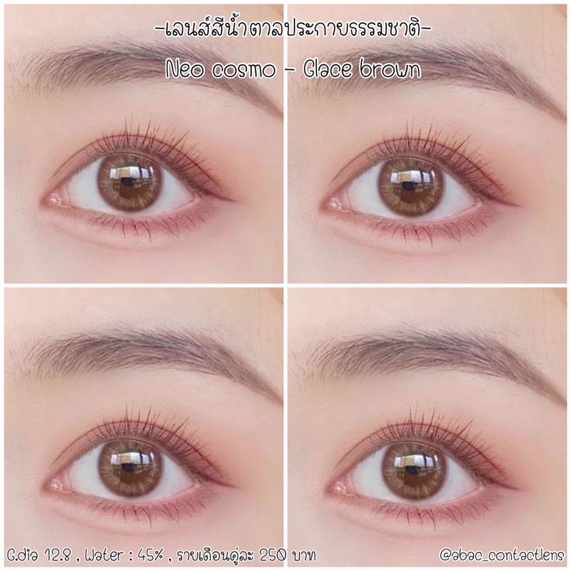 Neo cosmo สี Glace brown | Shopee Thailand