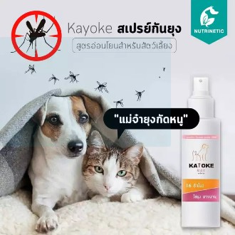 Kayoke สเปรย์กันยุง ปกป้องนาน 16 ชั่วโมง สูตรอ่อนโยน จากสารสกัด ใบสะเดา ...
