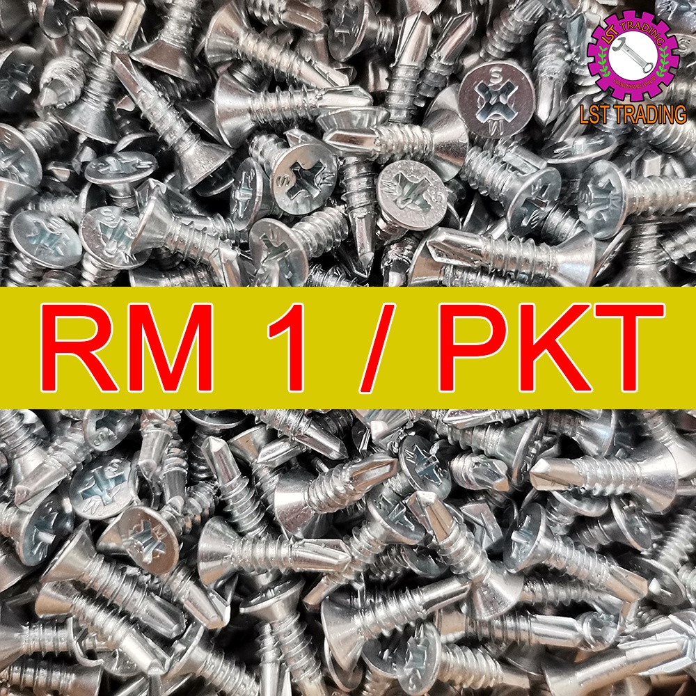 Flat HEAD SELF DRILLING SCREW / SKREW BESI KAPALA SAMA / SKREW EKOR ...