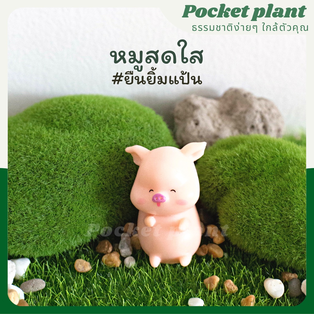 หมูสดใส ตุ๊กตาแต่งสวนจิ๋ว จัดสวนถาด โมเดลบ้านจิ๋ว [DolA-M-007] | Shopee ...