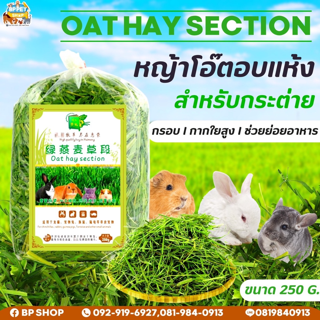 (Ratima) หญ้าโอ๊ต หญ้ากระต่าย แกสบี้ ชินชิล่า แพรี่ด็อก อาหารกระต่าย ...