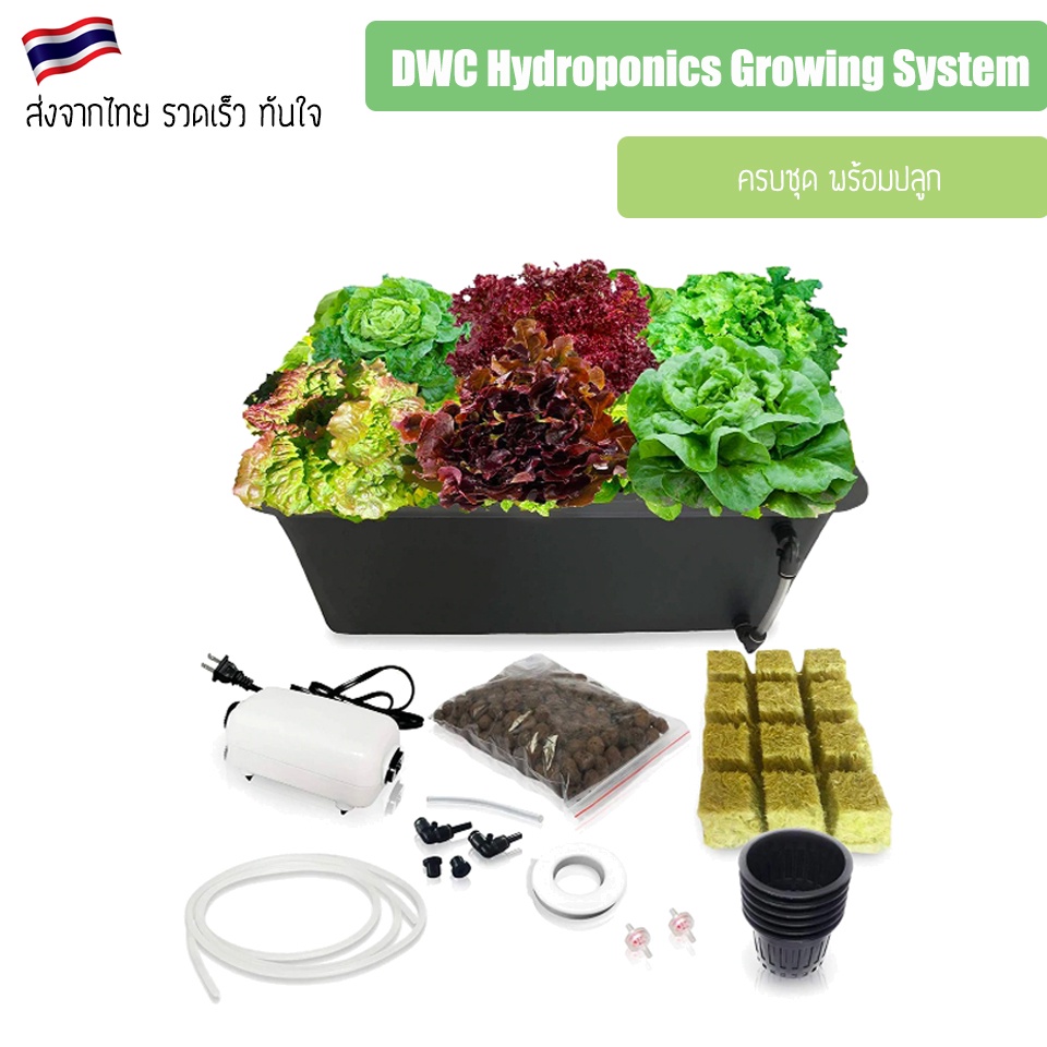 DWC Hydroponics Growing System Full Kit แถม Airstone ถังไฮโดรโปรนิกส์ ...