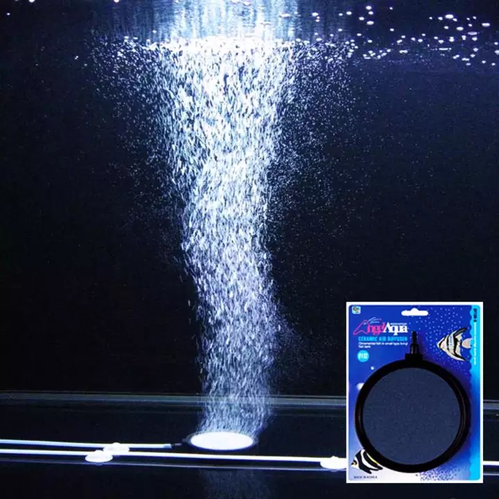 หัวทรายจาน Angel Aqua DY-100B 10 cm. | Shopee Thailand