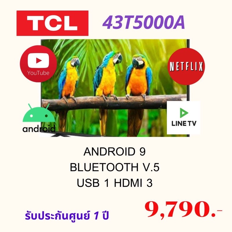 TCL ทีวี UHD LED (43", Android, 4K) รุ่น 43T5000 | Shopee Thailand