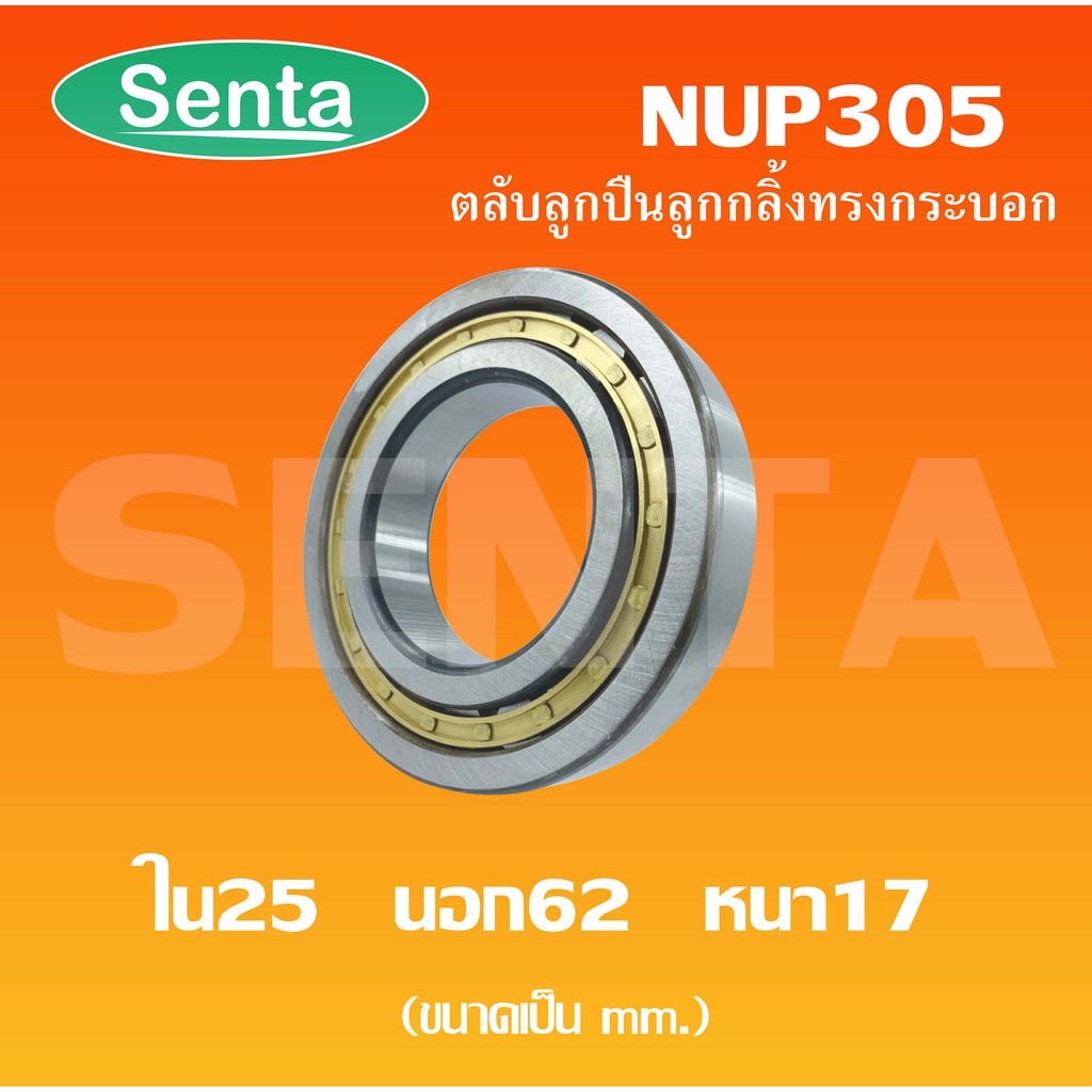 NUP305 ตลับลูกปืนเม็ดทรงกระบอก ขนาดใน25 นอก62 หนา17 มิลลิเมตร NUP 305 ...