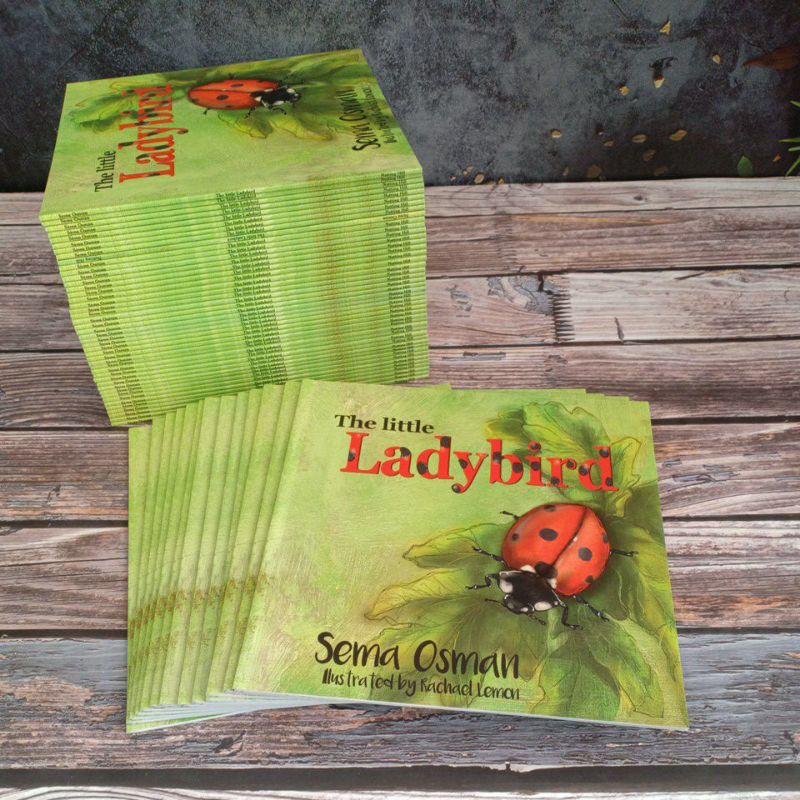 The Little Ladybird. by Sema osman , Rachel lemon (Illustrated ...