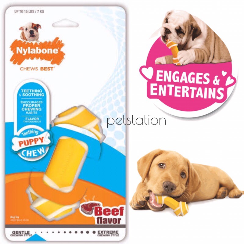 Nylabone Gentle Chew ของเล่นขัดฟัน Knot Bone | Shopee Thailand