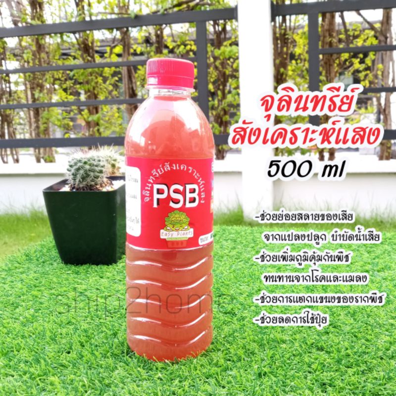 จุลินทรีย์สังเคราะห์แสง (PSB) 500ml เร่งการเจริญเติบโตพืช ยับยั้งเชื้อแบคทีเรียก่อโรค ขจัดกลิ่น ...
