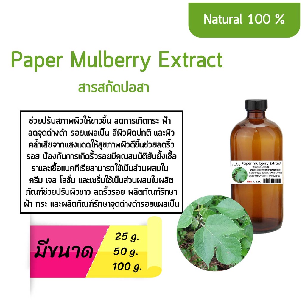 สารสกัดปอสา Paper Mulberry Extract | Shopee Thailand