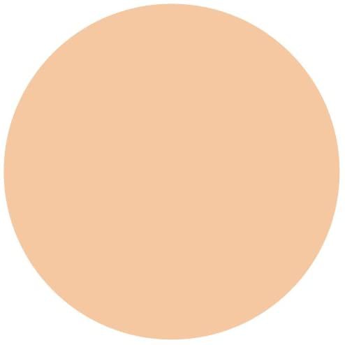 DHC Medicated Acne Care Concealer SPF22 PA++ No.1 คอนซีลเลอร์ สูตร ...