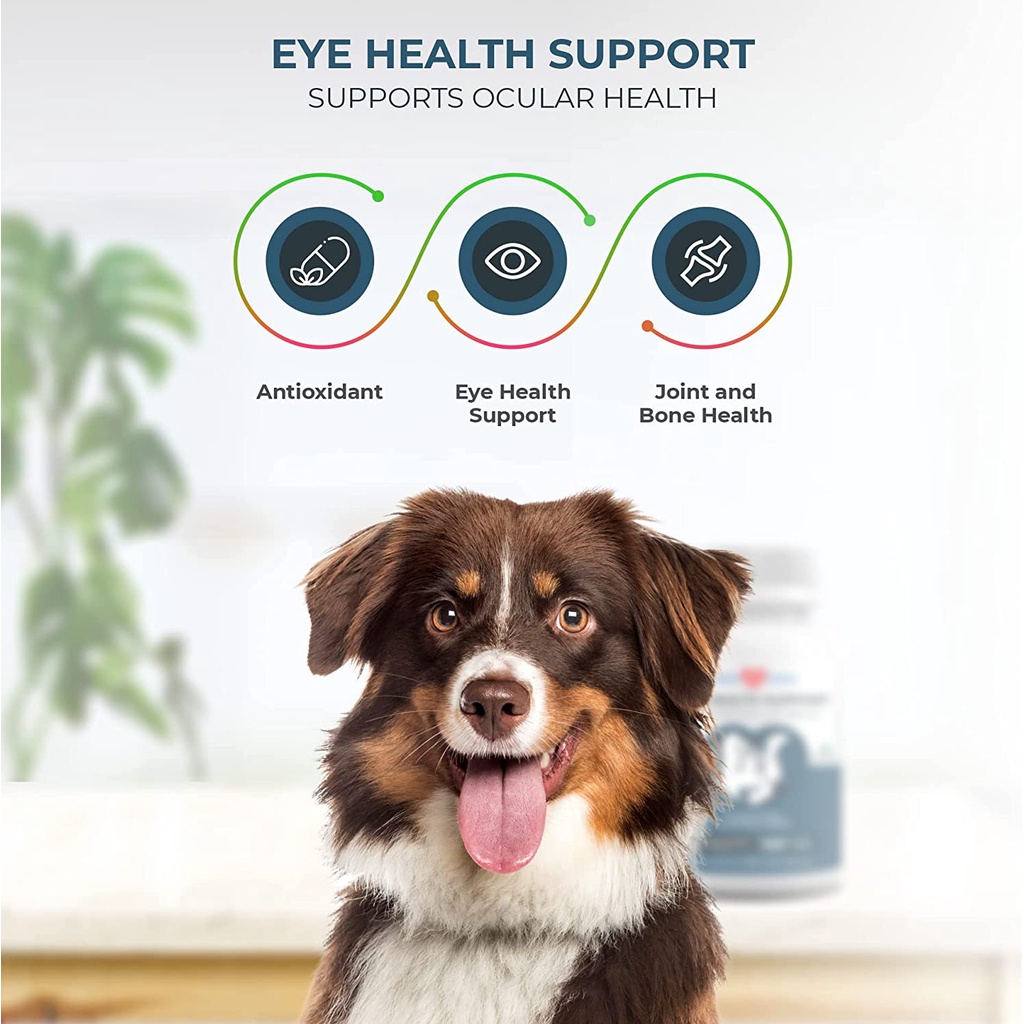 Dog Eye Health Support บำรุงดวงตาสุนัข สายตา จอประสาทตา [90 เม็ดขนม ...