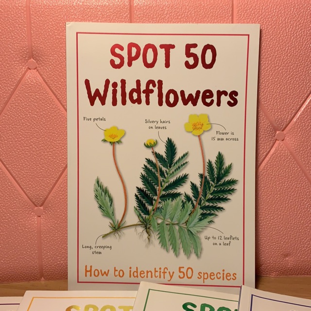 SPOT 50 Wildflowers หนังสือความรู้ปกอ่อนมือสอง-AE3 | Shopee Thailand