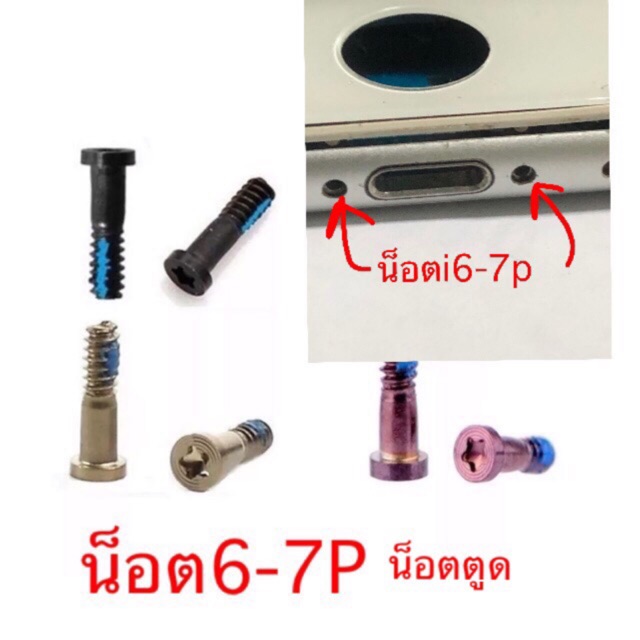 น็อตตูด i/xx/6/6 s/6p/6 s p/77p/8/8p/xr/11/12/13/14 | Shopee Thailand