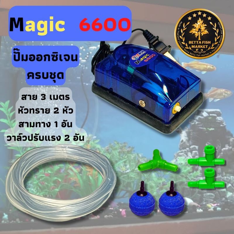 ชุดปั๊มลม ปั๊มออกซิเจนตู้ปลา 1 ทาง Magic 6600 ควบคุมแรงลมได้ | Shopee Thailand