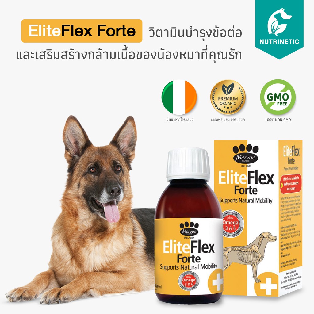 Mervue Care Elite Flex Forte อาหารเสริมสุนัข สูตรเสริมสร้างกล้ามเนื้อ ...