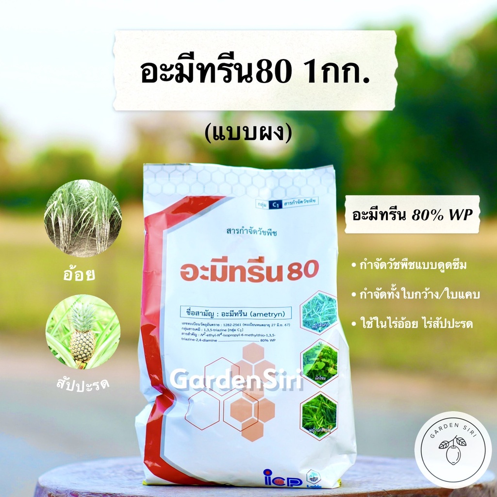 อะมีทรีน80 (ชนิดผง) สารกำจัดหญ้าวัชพืชใบกว้าง ใบแคบในไร่อ้อย สัปปะรด ...