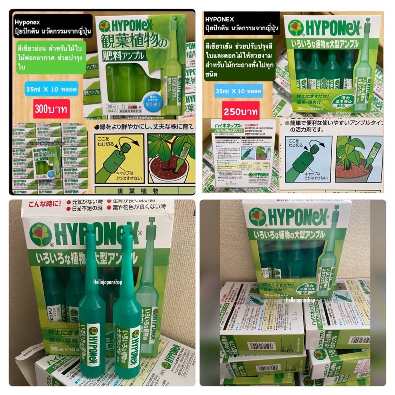 พร้อมส่ง ปุ๋ย ปุ๋ยปักดิน HYPONeX ปุ๋ยน้ำคุณภาพสูง ขายดีติดอันดับ1 ของ ...
