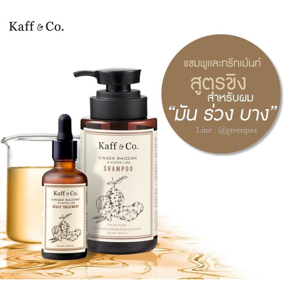 หมดห้ามสั่ง-- เซทแชมพูรักษาผมร่วง ขิง+มะกรูดสกัดเย็น Kaff&Co. ลดปัญหาผมร่วง คัน หนังศรีษะมัน ...