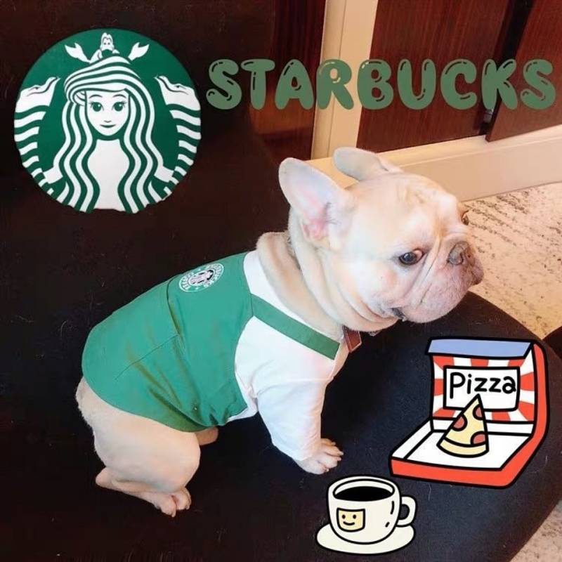 Schnauzer Corgi แมวสุนัขเสื้อผ้าสัตว์เลี้ยง French Bulldog Ying Dou ...