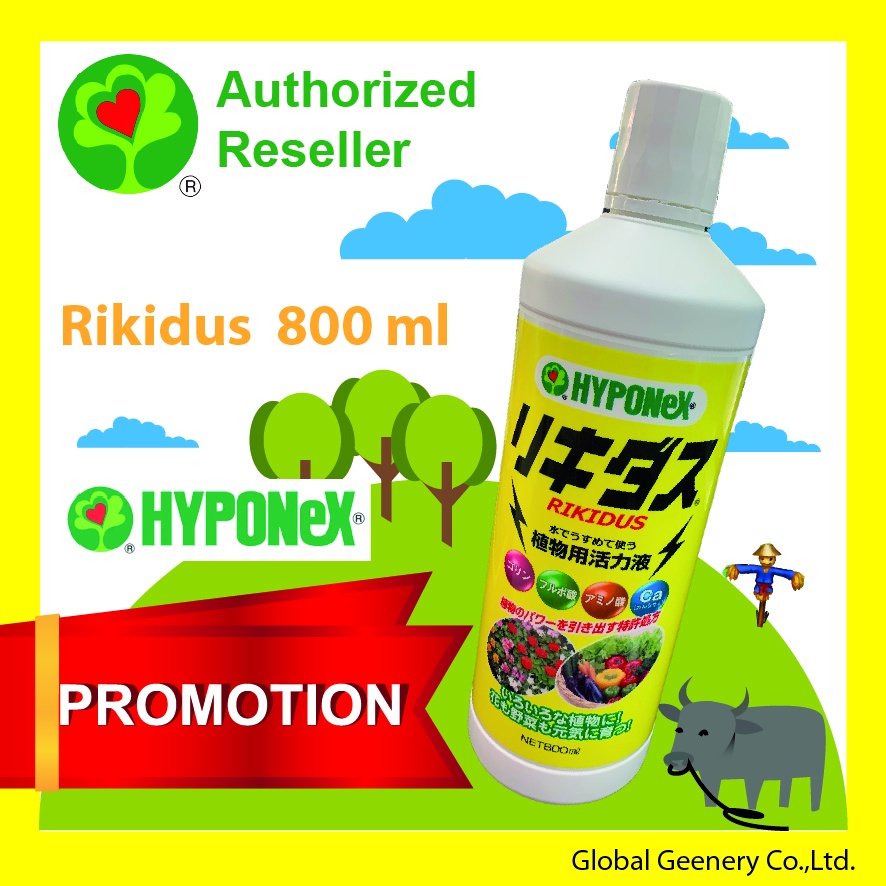 Hyponex Rikidus 800ml (ไฮโพเนกซ์) | Shopee Thailand