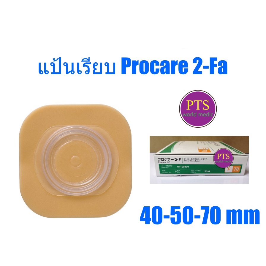 แป้นเรียบ Procare 2-Fa (ญี่ปุ่น) (1 ชิ้น) | Shopee Thailand