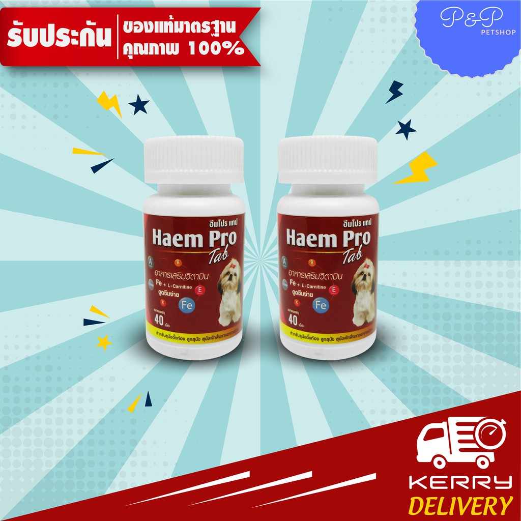 Haem Pro tab 40 เม็ด (2 กระปุก) บำรุงเลือดสุนัข | Shopee Thailand