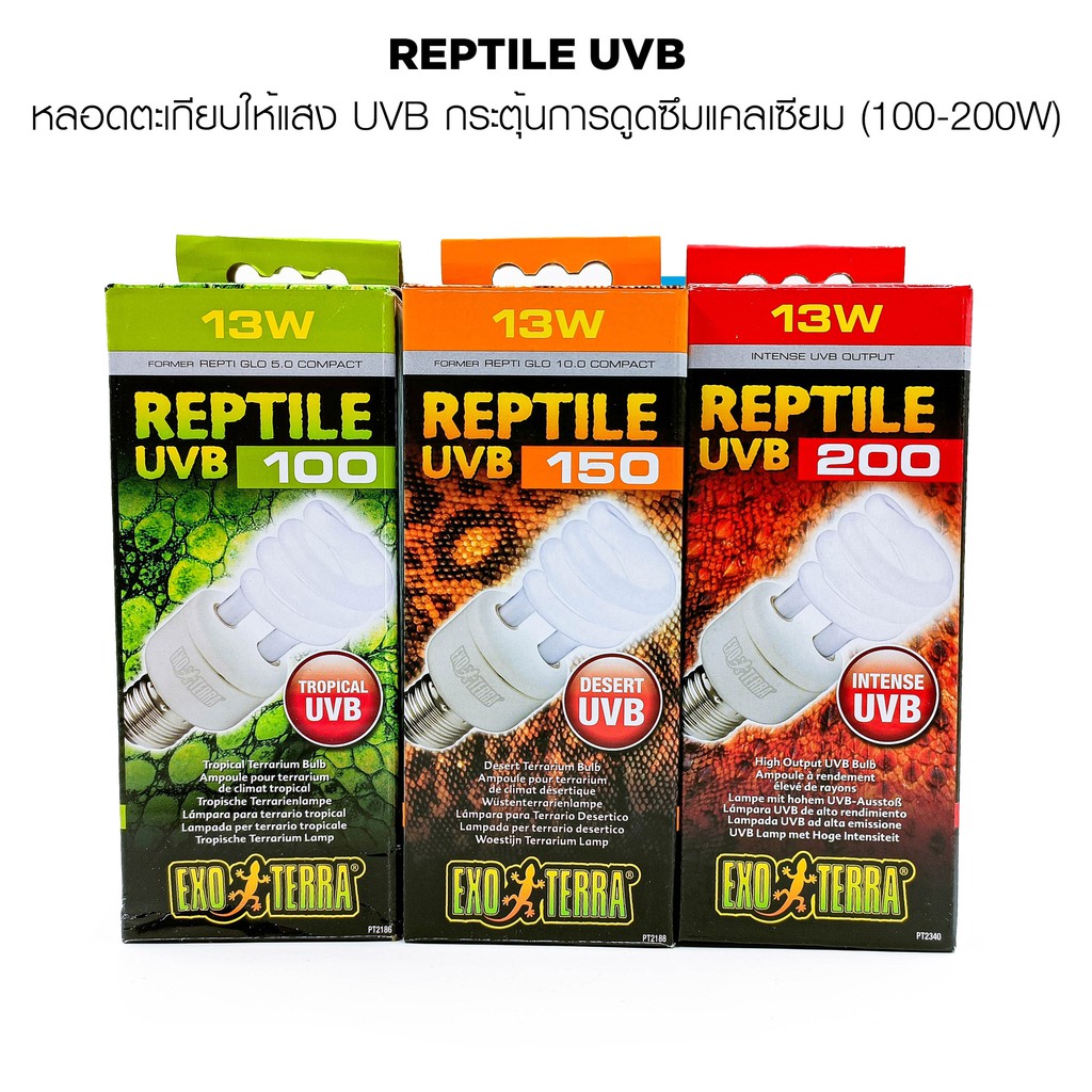 Exo Terra Reptile UVB (13W) หลอดตะเกียบ ให้แสง UVB เข้มพิเศษ ช่วยกระตุ้นการดูดซึมแคลเซียม ...