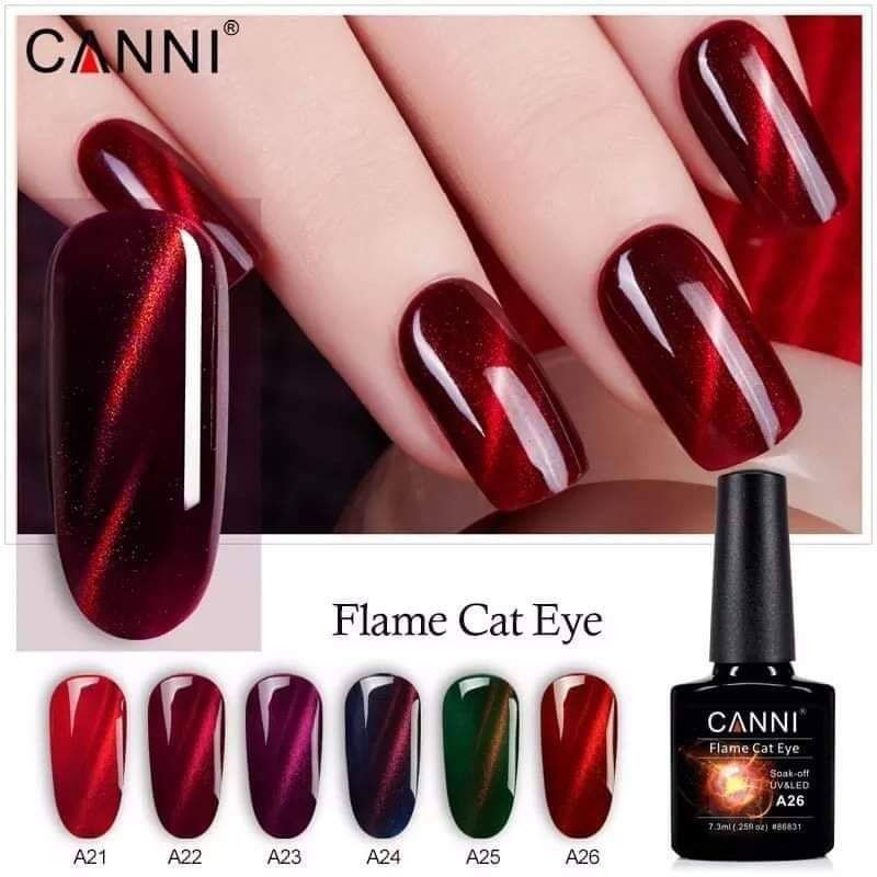 สีเจลแคทอายโทนสีแดง canni | Shopee Thailand