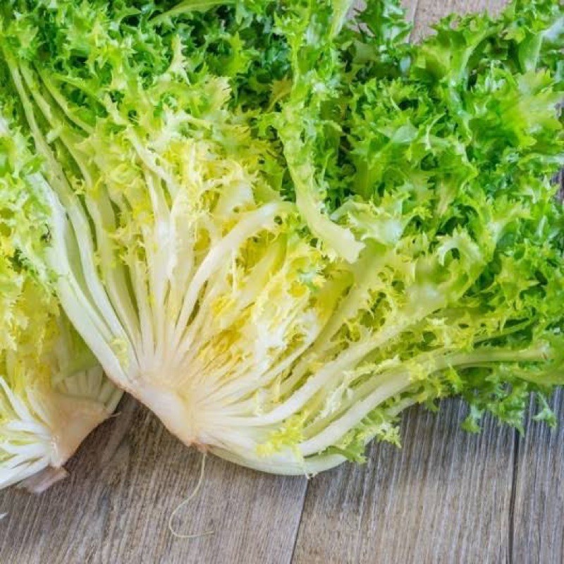 เมล็ดพันธุ์ ผักสลัดเอนไดว์ ไฟร์ซี(Endive Frisee)บรรจุ 150 เมล็ด ...