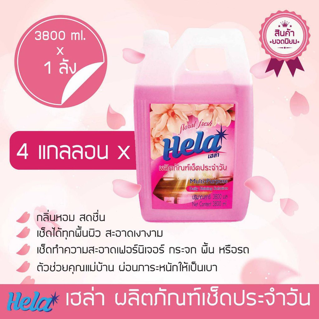 Hela Multi-purpose เฮล่า น้ำยาทำความสะอาดอเนกประสงค์ 3800 มล. x 4 แกลลอน (1 ลัง) | Shopee Thailand