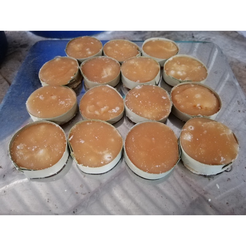 น้ำตาลโตนด น้ำตาลแว่น | Shopee Thailand