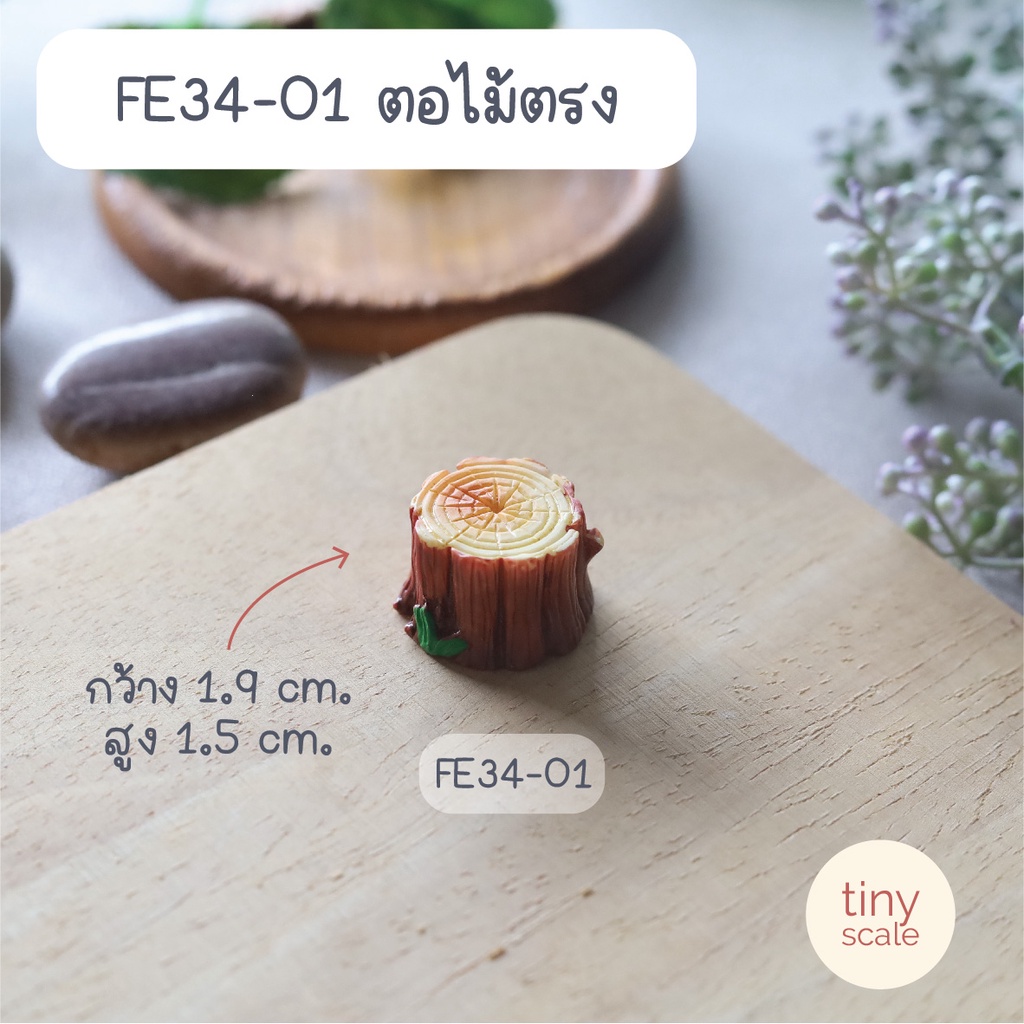 โมเดลตอไม้ สำหรับทำโมเดล ของจิ๋ว ตกแต่งสวนถาด บ้านตุ๊กตา Miniature ...