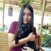 domicat ราคาพิเศษ | ซื้อออนไลน์ที่ Shopee ส่งฟรี*ทั่วไทย!