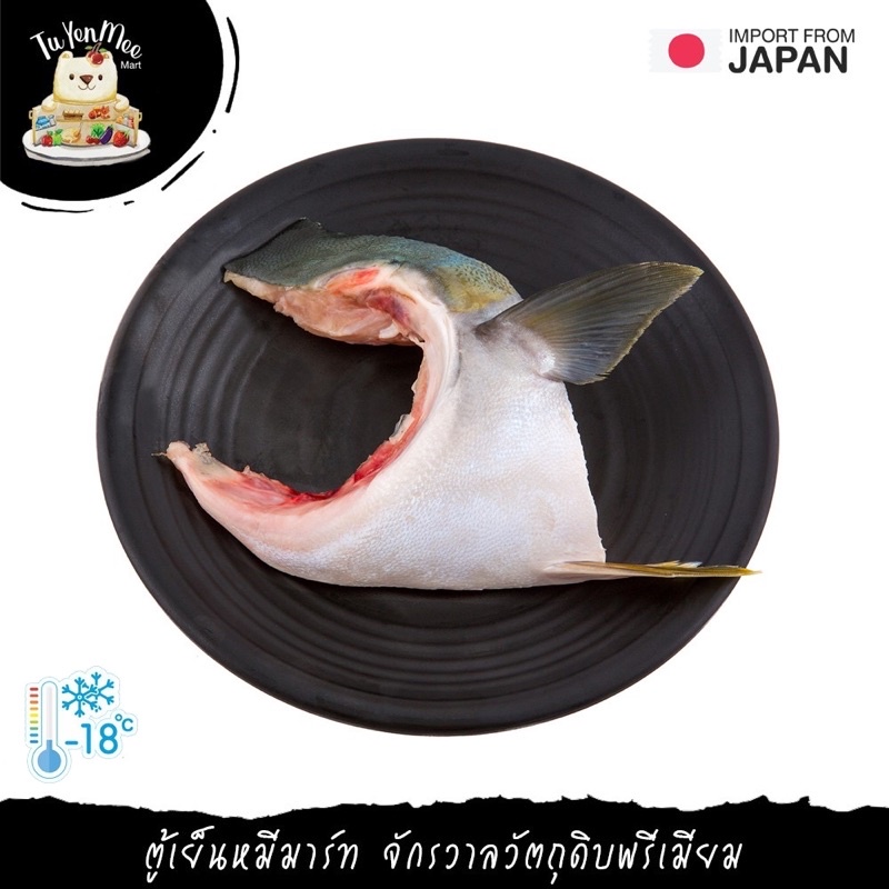 1-1.3KG/PACK แก้มปลาบุรี BURI-KAMA (YELLOWTAIL COLLAR MEAT) | Shopee ...