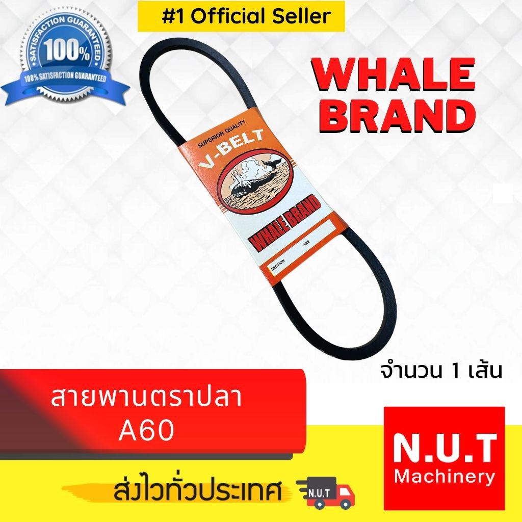 สายพาน A60 ตราปลา V-BELT ร่อง A ร่องเรียบ | Shopee Thailand