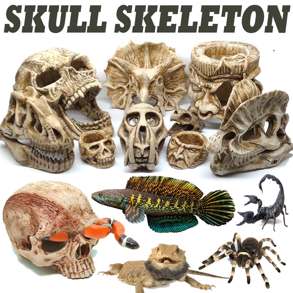 เครื่องประดับ STATUE OF GOD& 39;S TENGKORAK CONSCIOUS DECORTATIONS ปลา ...