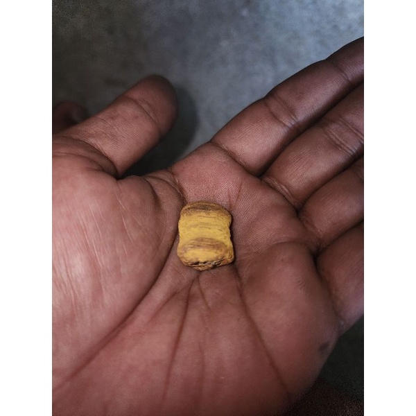 KAYU Mstika หิน buntek ไม้ cndana นักเขียนลงจากรุ่นถึงรุ่น | Shopee ...