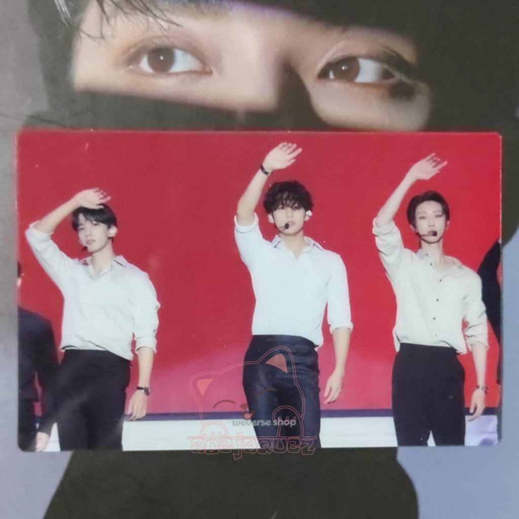 แฟ้มใส Seventeen 97Line The8, Mingyu, DK Caratland | Shopee Thailand