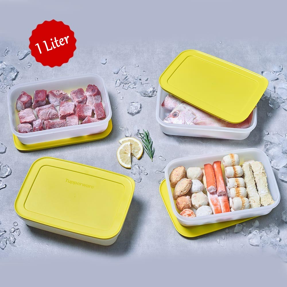 ทําตู้แช่แข็ง Frozy Cozy Medium Low Tupperware (ราคาหน่วย) | Shopee ...