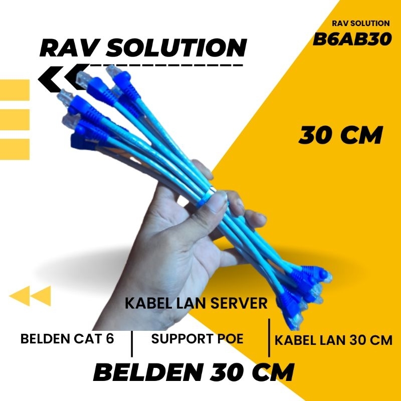 Belden CAT 6 SERVER LAN สายเคเบิ้ล 30 ซม. ปรับแต่ง RAV SOLUTION ...