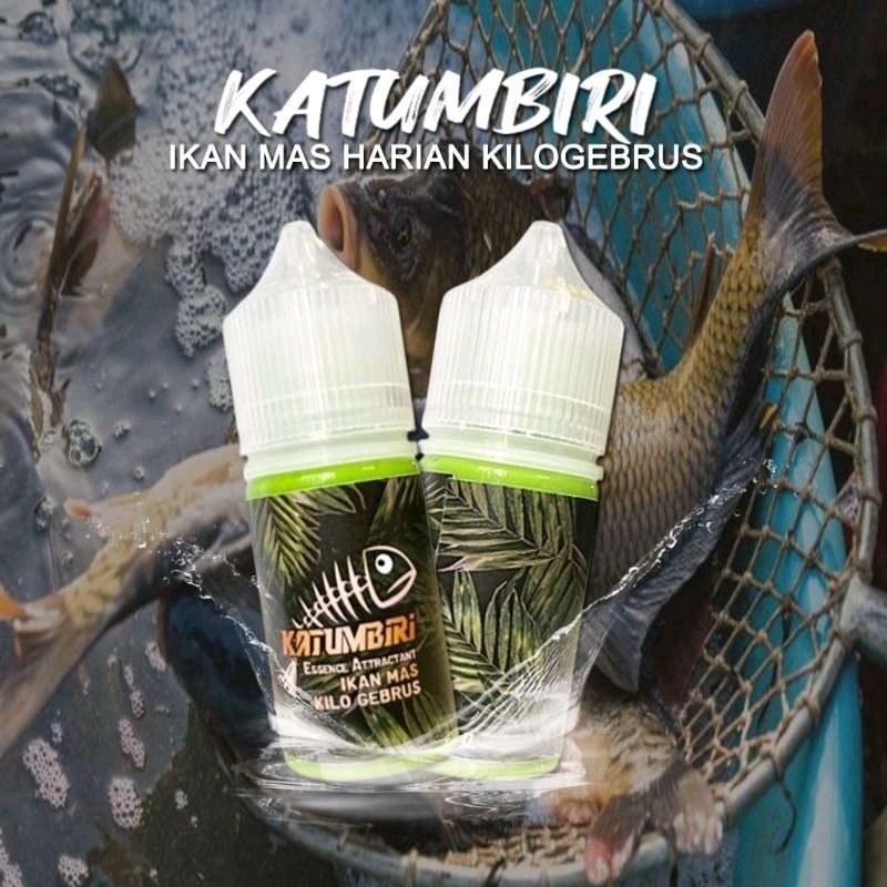 Essen Katumbiri ปลาทอง พร้อมเก็บเกี่ยวทุกวัน Kilogebrus-435 | Shopee ...