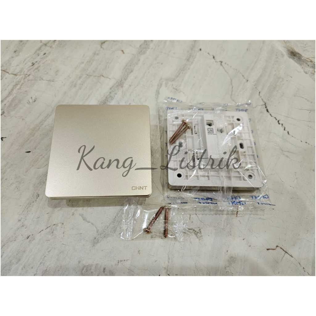Chint Gold Ankle Switch / Chint Gold Single Switch NEW2-M00104 | Shopee ...