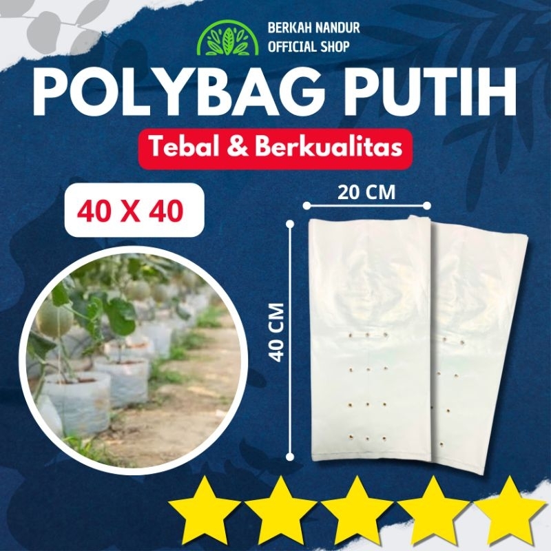 Polybag สีขาว 40 x 40 Polybag Melon Polybag Chili Polybag Hydroponic ...