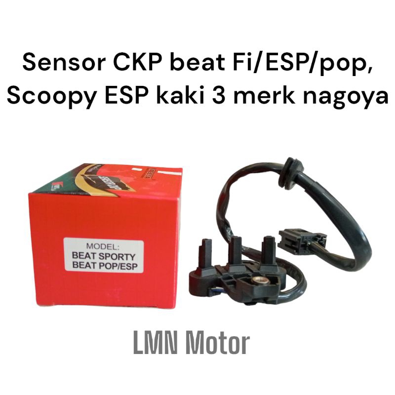 CKP beat Fi/ESP/pop Sensor, Scoopy ESP 3 ฟุต ยี่ห้อ nagoya | Shopee ...